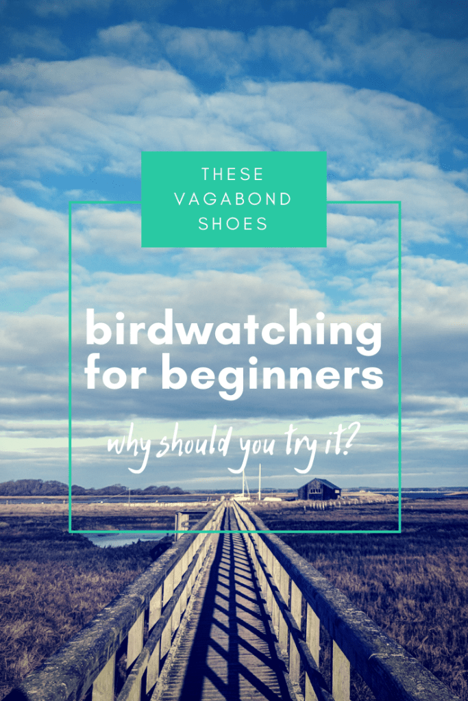 Why you should try birdwatching – These Vagabond Shoes.