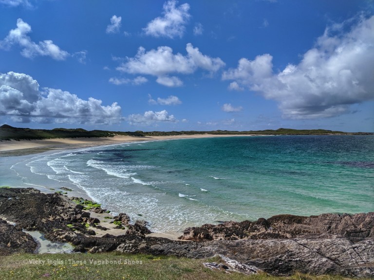 Photo Journal | Machair Wildflowers on the Isle of Coll – These ...